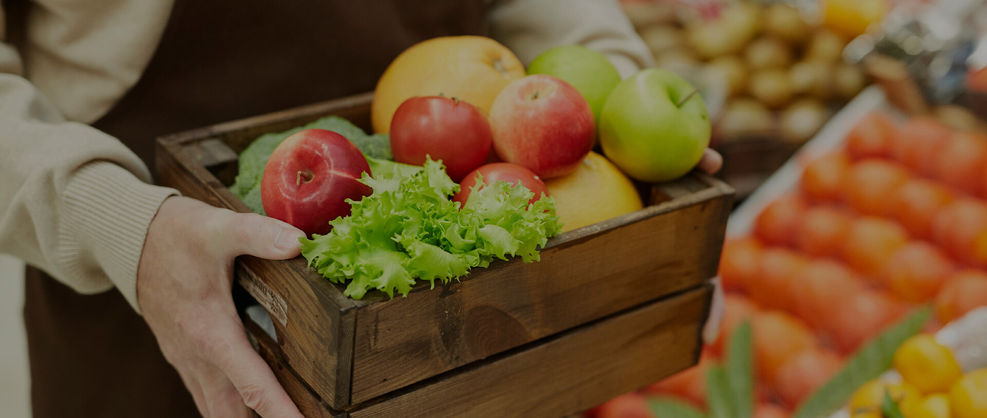 Inicio | Green Import Solutions | Empresa importadora de productos